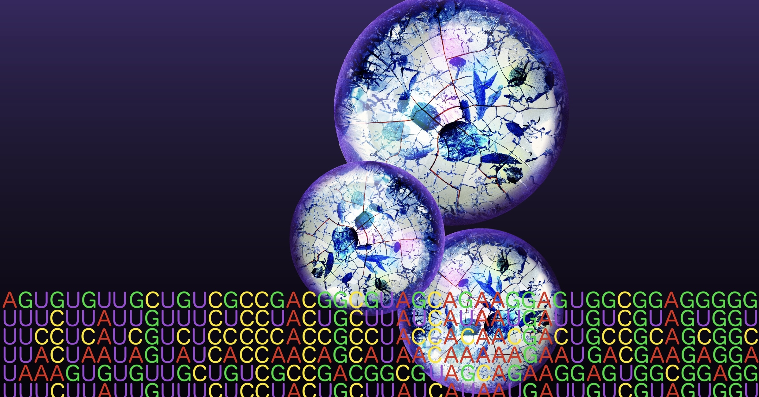 Synthetic Biology: Engineering Biological Systems for New Functions and ...